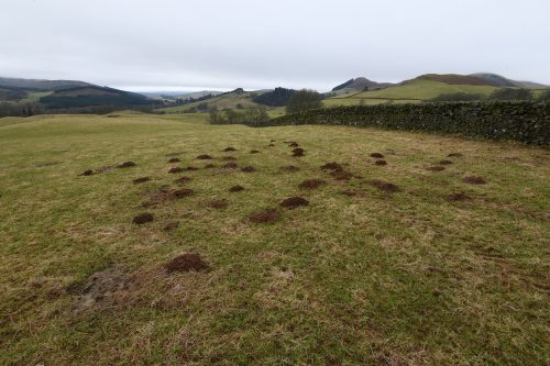 Drawing Mole Hills - Andy Goldsworthy