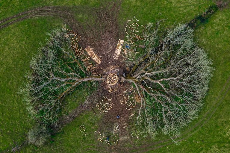 Andy Goldsworthy | Official Website