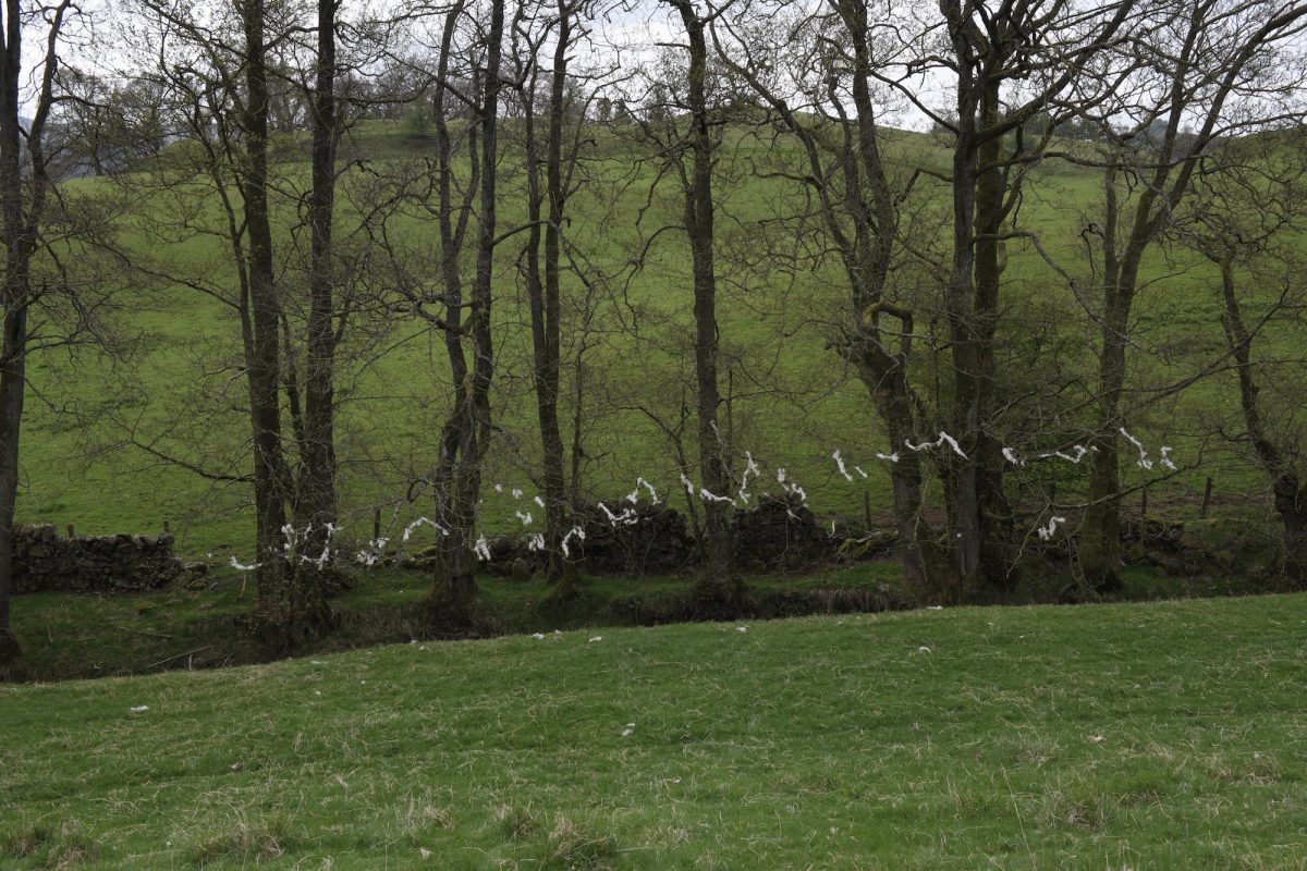 Two lines made with wool - Andy Goldsworthy