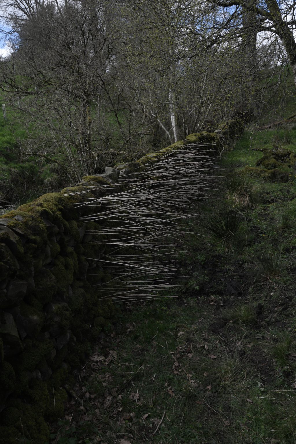 Nettle Stalks Wall - Andy Goldsworthy