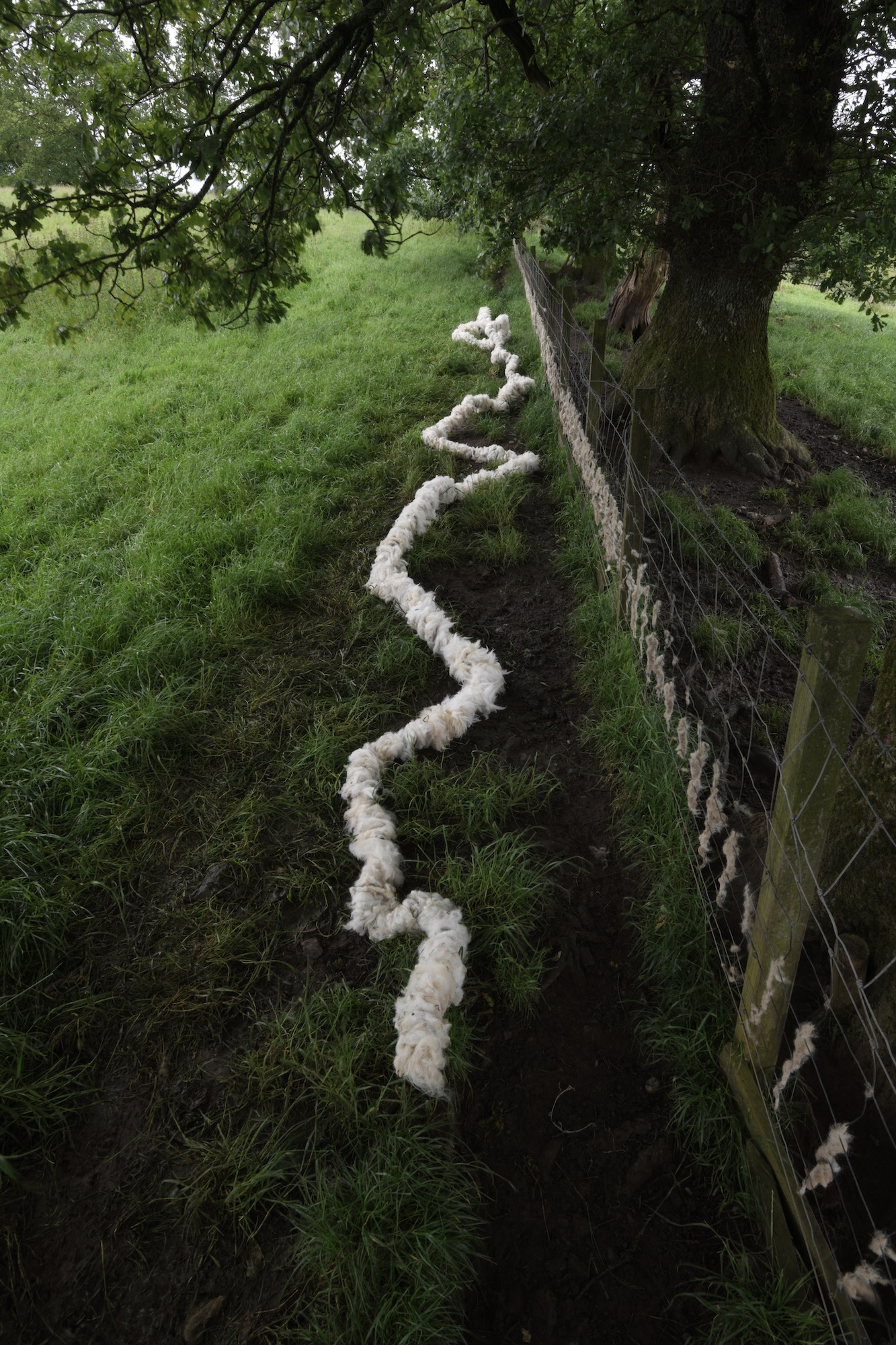 Four Wool Works - Andy Goldsworthy