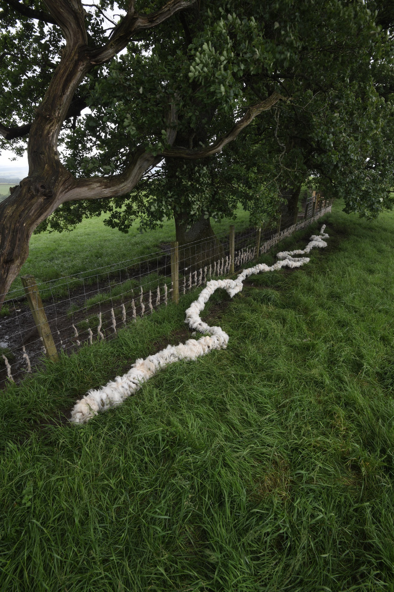 Four Wool Works - Andy Goldsworthy