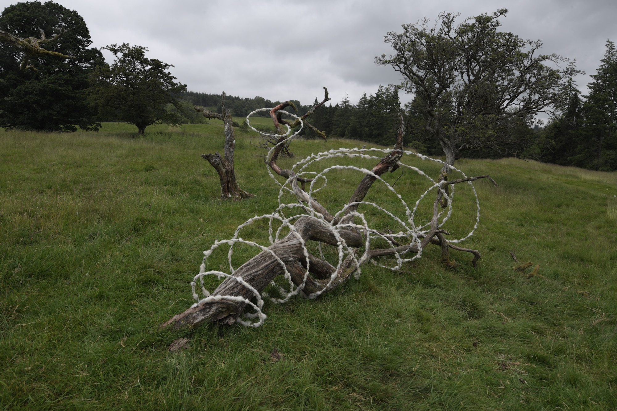 Four Wool Works - Andy Goldsworthy