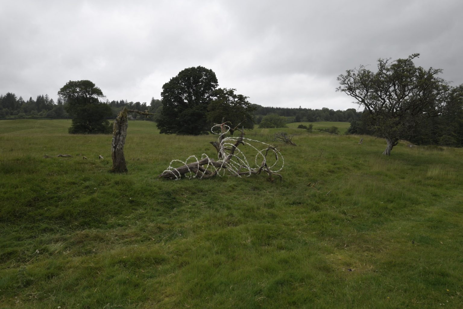 Four Wool Works - Andy Goldsworthy