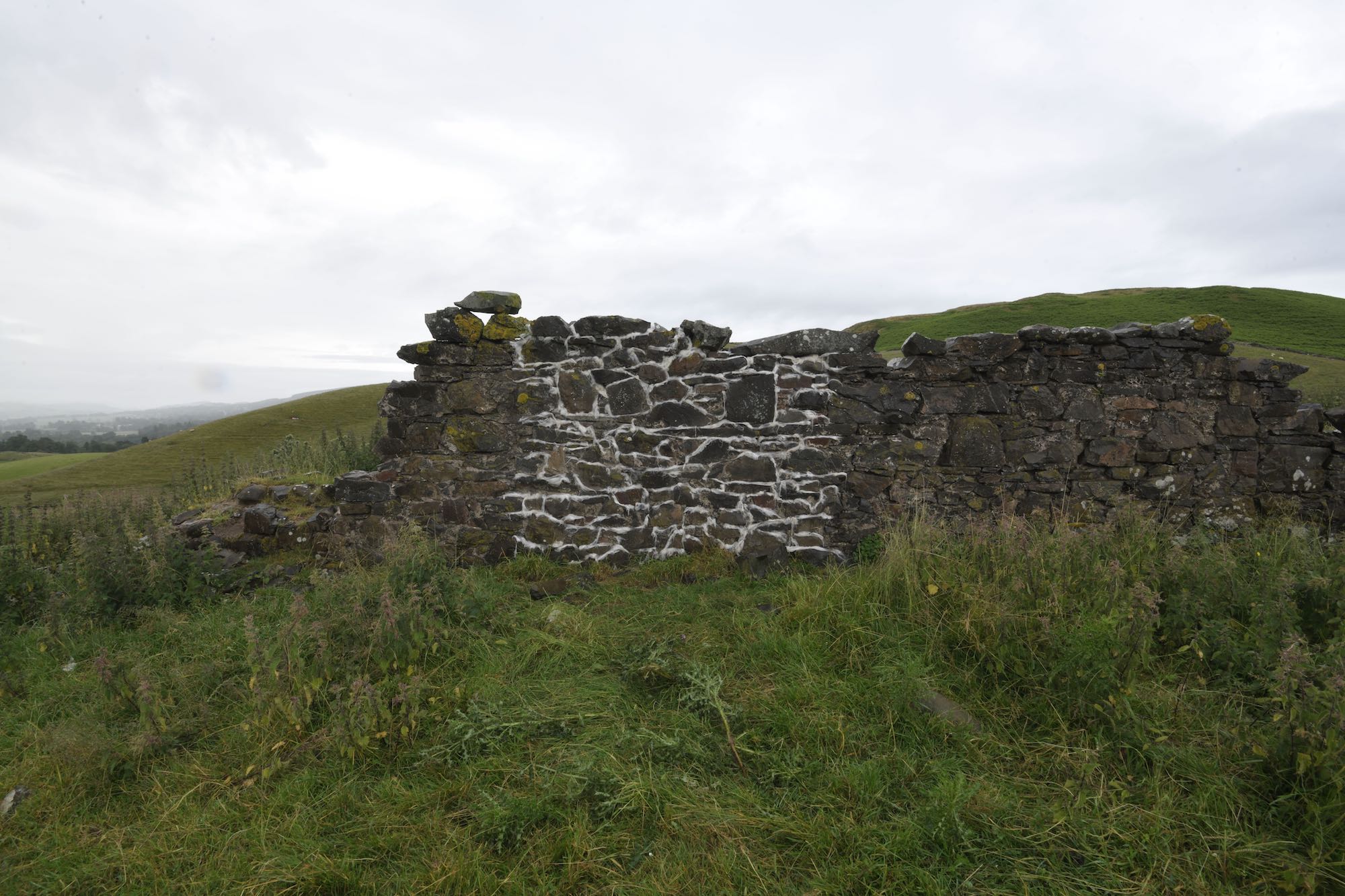 Four More Wool Works - Andy Goldsworthy