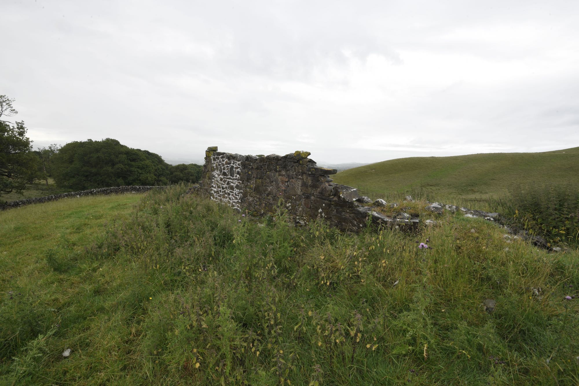 Four More Wool Works - Andy Goldsworthy