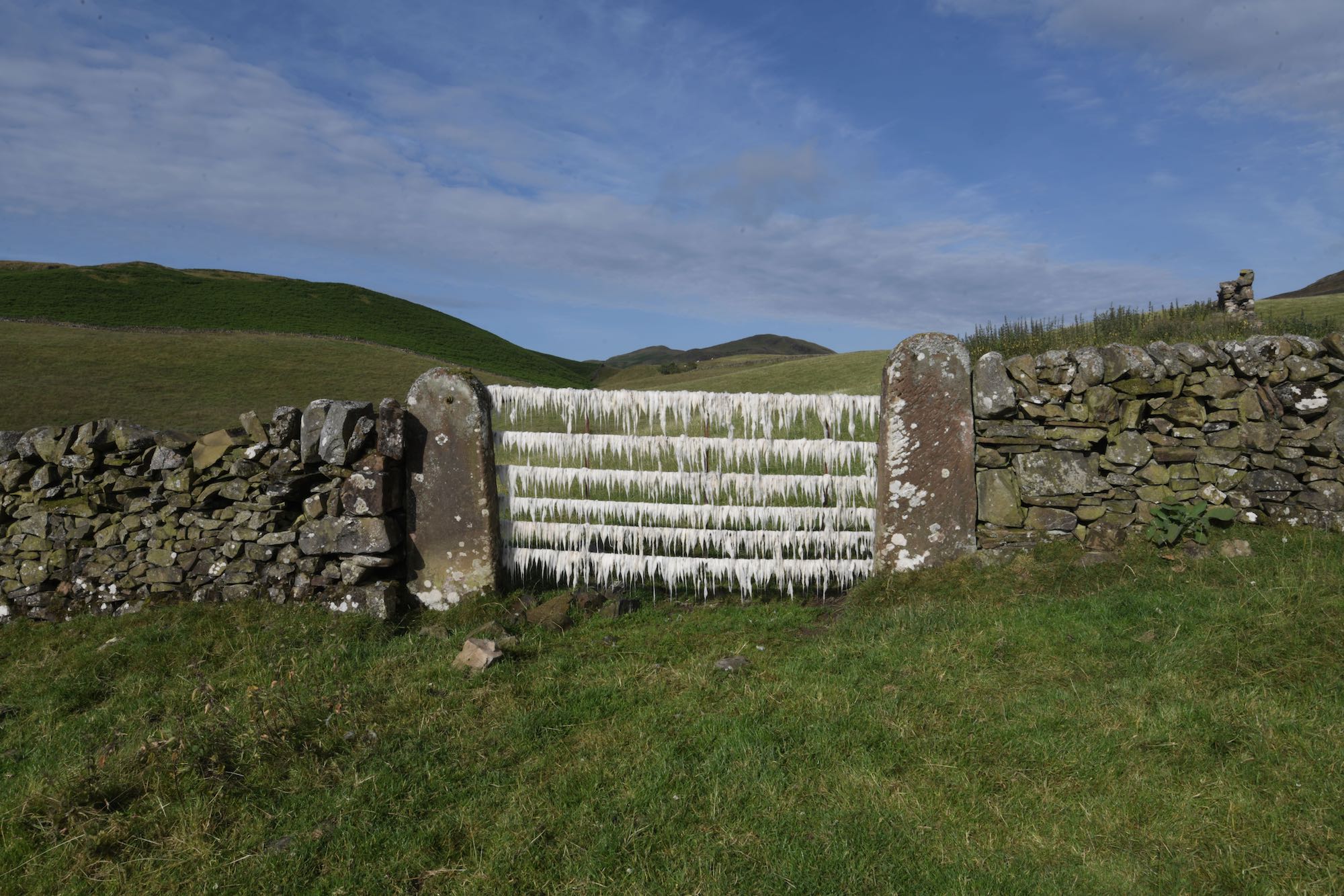 Four More Wool Works - Andy Goldsworthy
