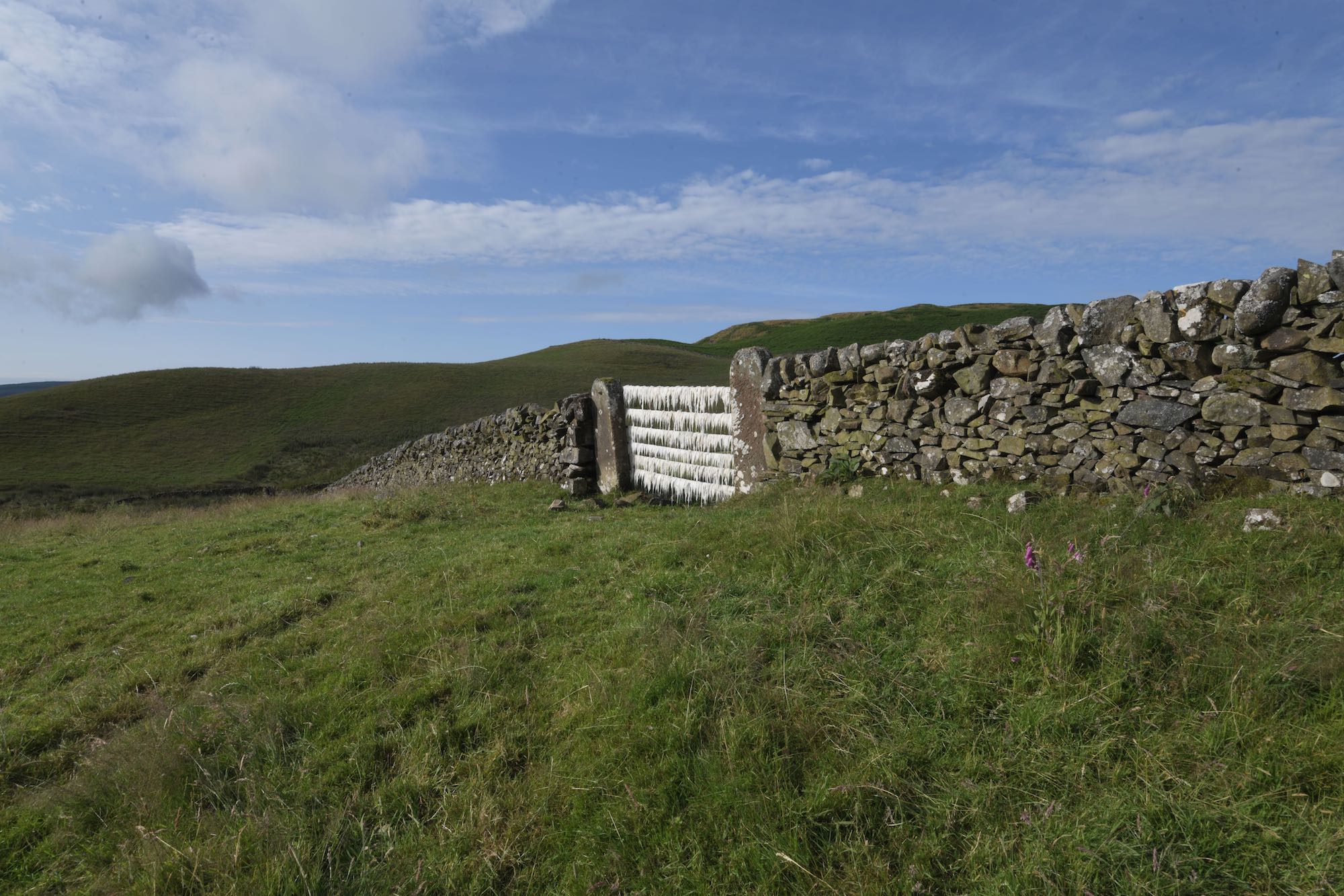 Four More Wool Works - Andy Goldsworthy