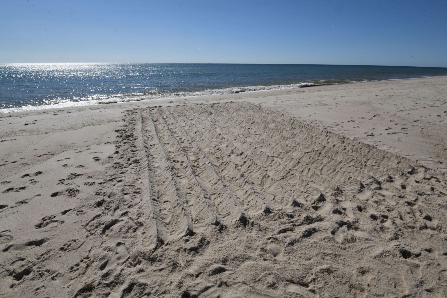 Sand Edges - Andy Goldsworthy