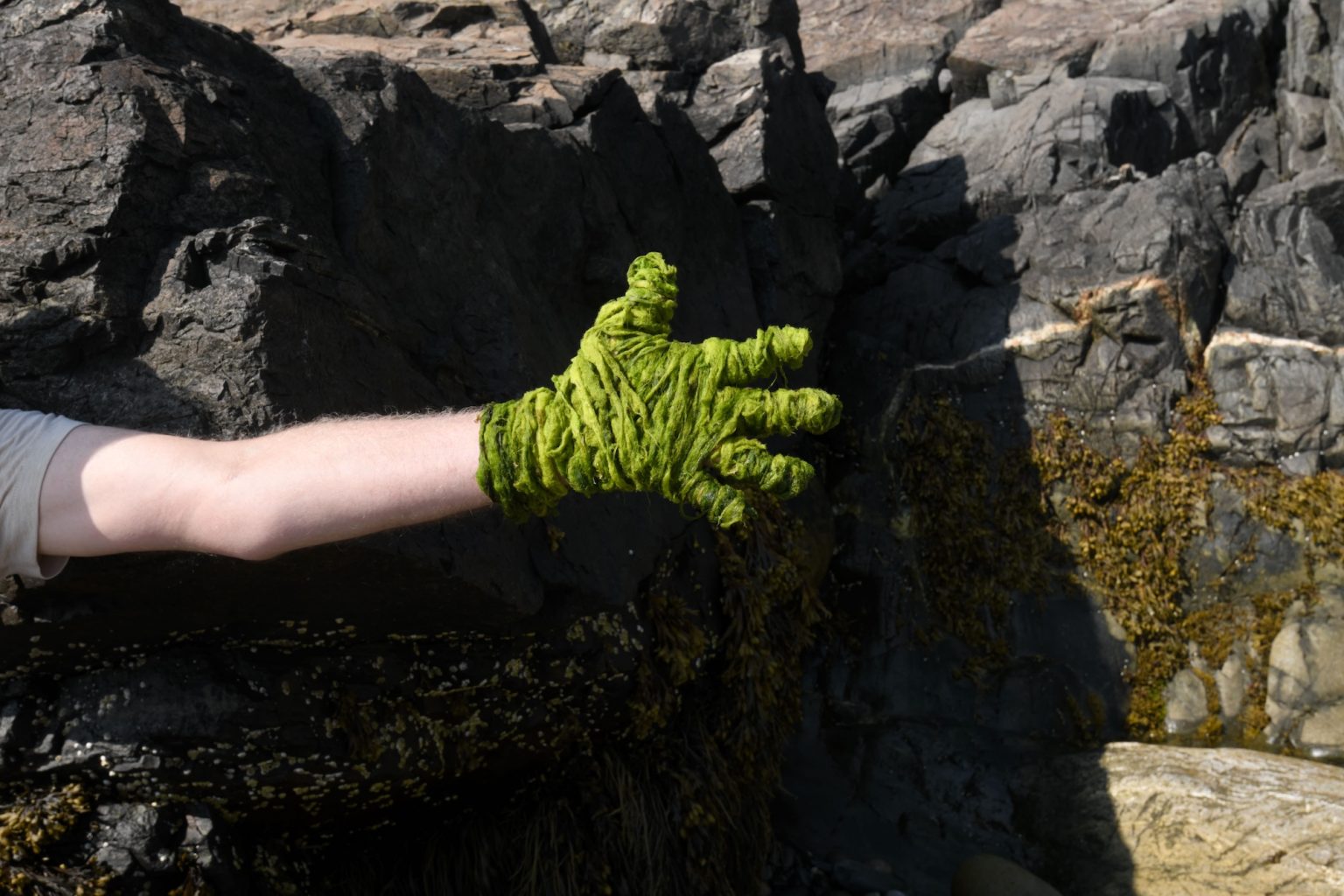Seaweed, Grass and Ferns - Andy Goldsworthy